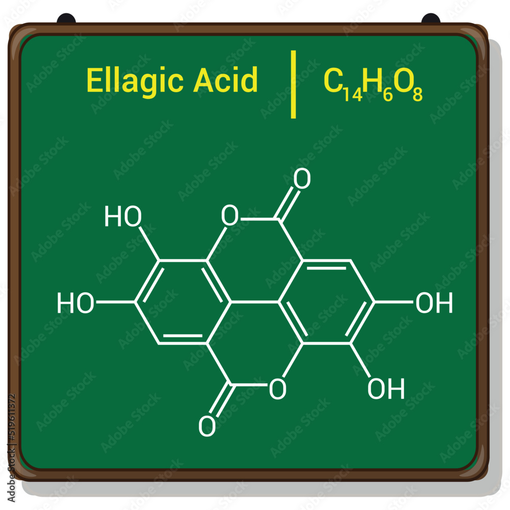chemical structure of Ellagic acid (C14H6O8) Stock Vector | Adobe Stock