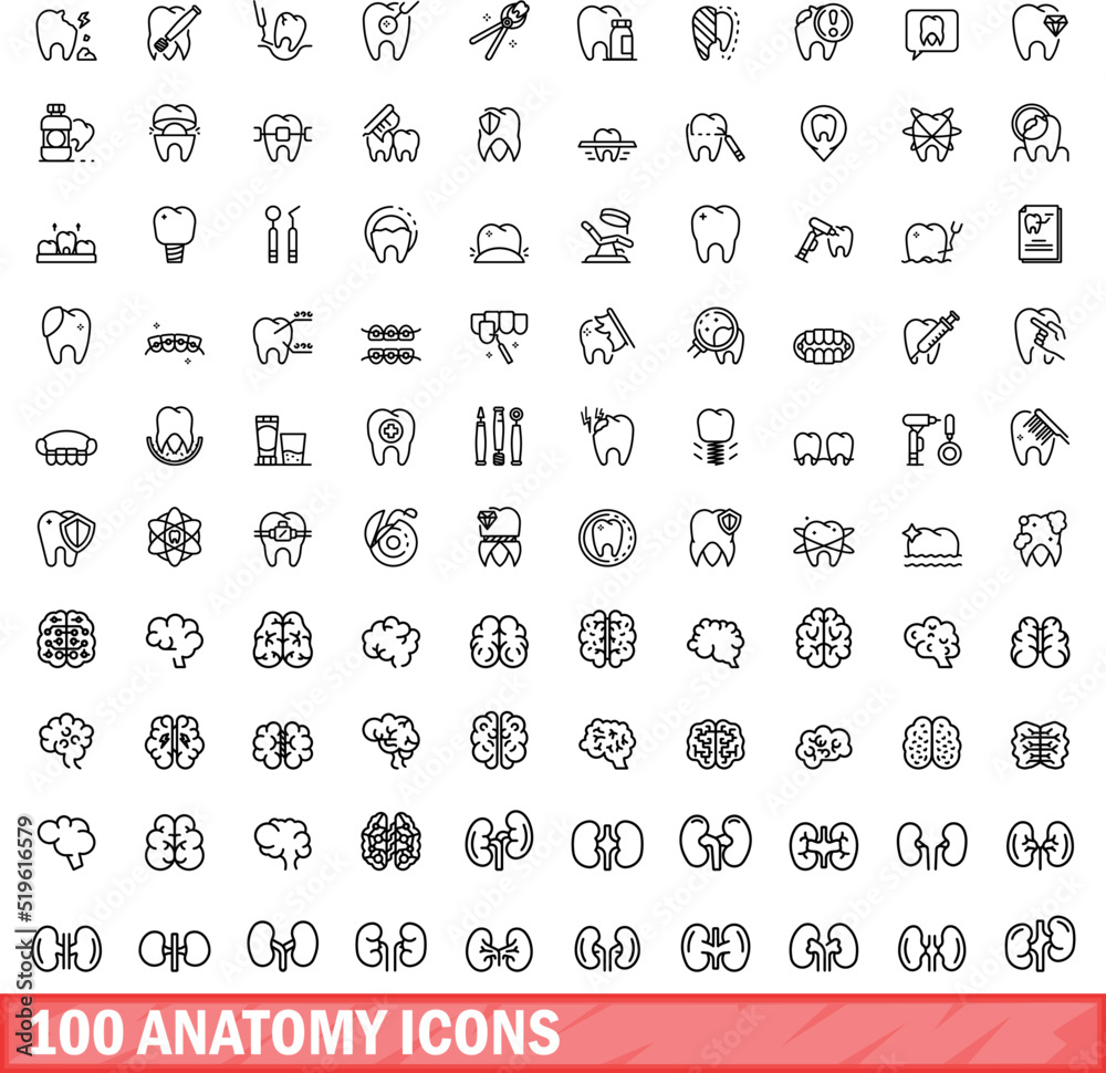 100 anatomy icons set. Outline illustration of 100 anatomy icons vector ...