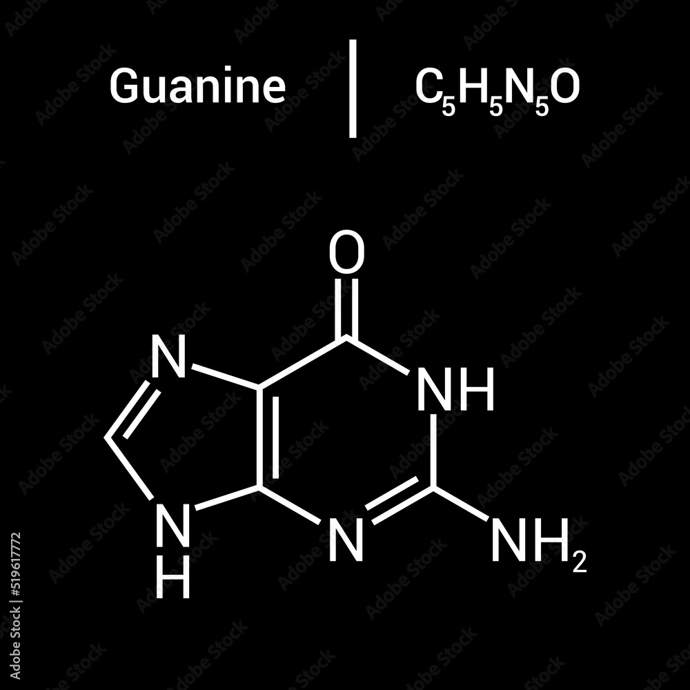 chemical structure of Guanine (C5H5N5O) Stock Vector | Adobe Stock