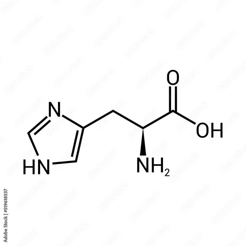 chemical structure of Histidine (C6H9N3O2) Stock Vector | Adobe Stock