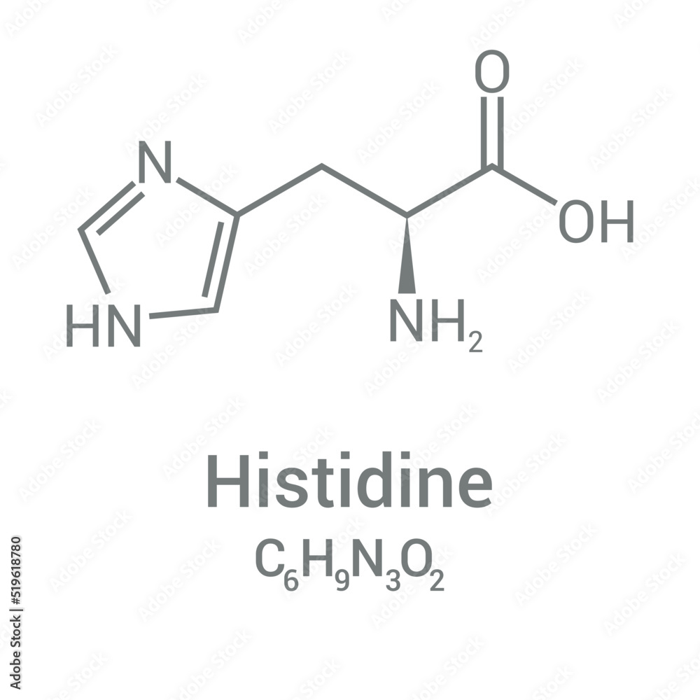 chemical structure of Histidine (C6H9N3O2) Stock Vector | Adobe Stock
