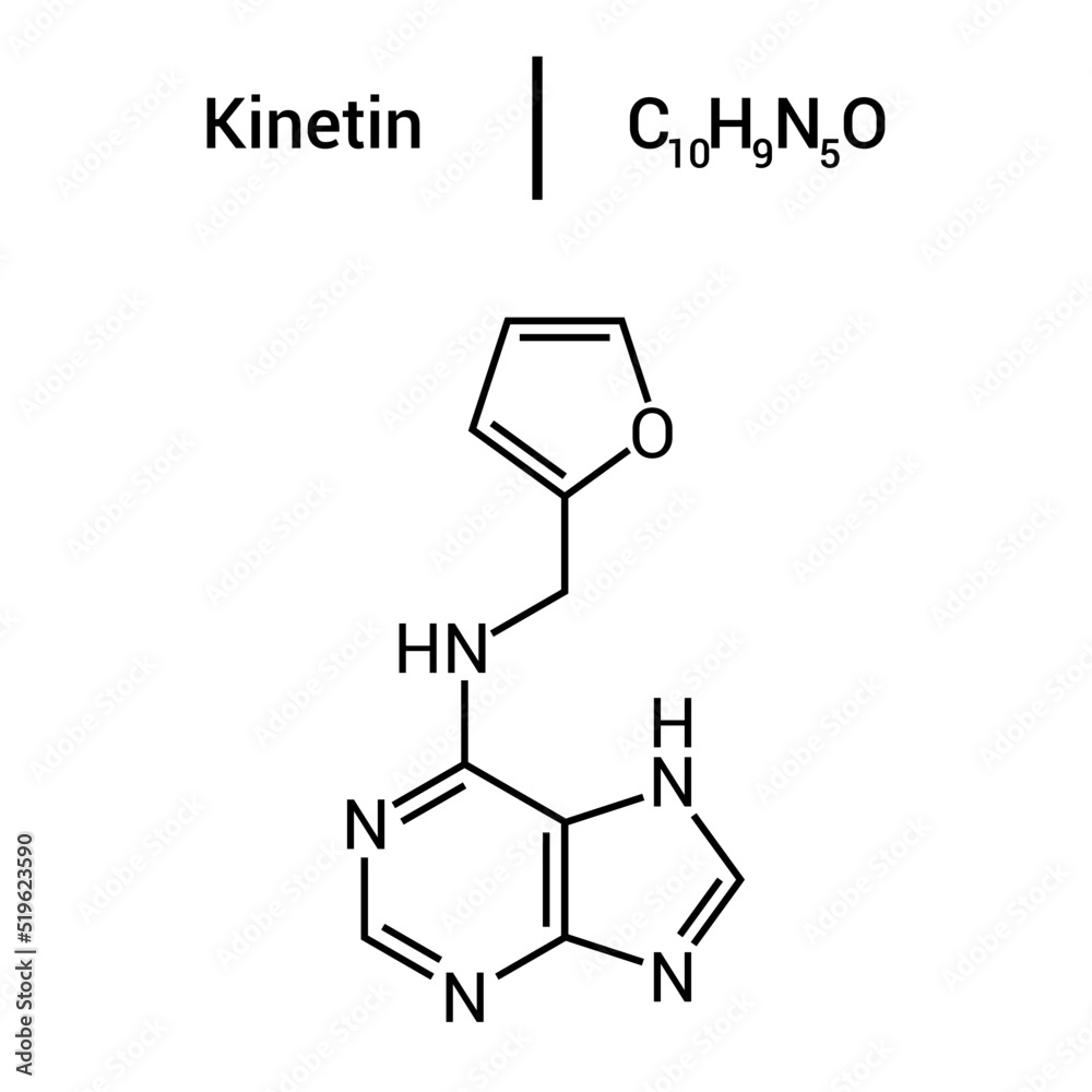 chemical structure of kinetin (C10H9N5O) Stock Vector | Adobe Stock