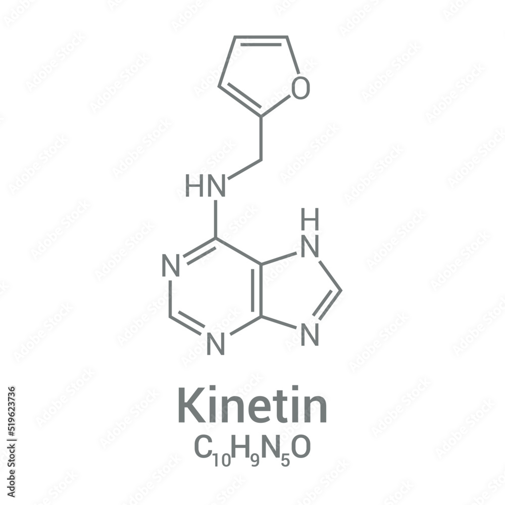 chemical structure of kinetin (C10H9N5O) Stock Vector | Adobe Stock