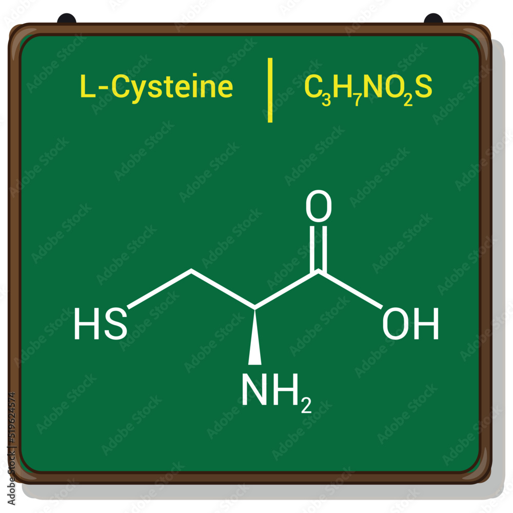 chemical structure of L-cysteine (C3H7NO2S) Stock Vector | Adobe Stock