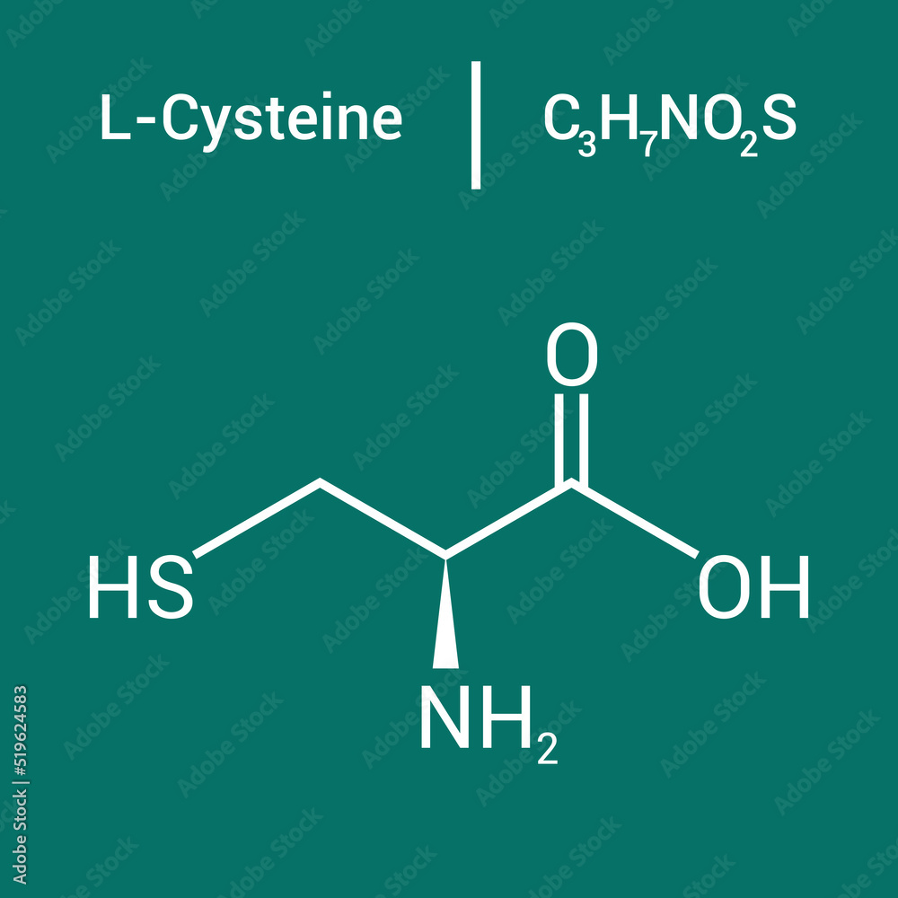 chemical structure of L-cysteine (C3H7NO2S) Stock Vector | Adobe Stock