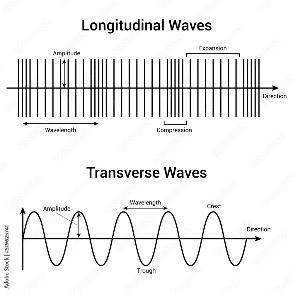longitudinal and transverse waves. Vector illustration isolated on ...
