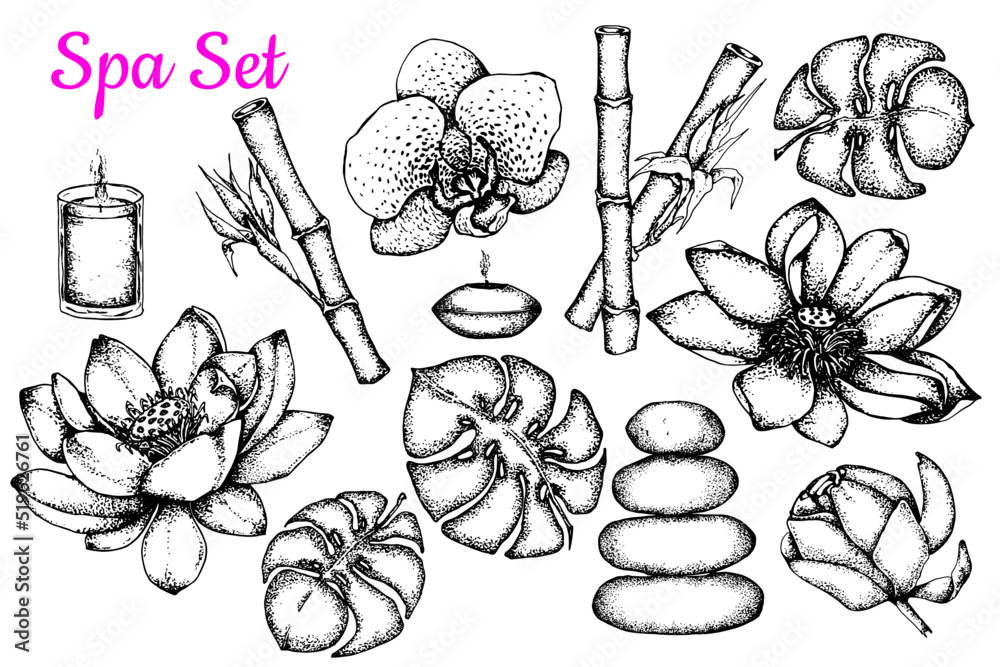 Spa attributes set. Black and white sketch. Hand drawn collection ...