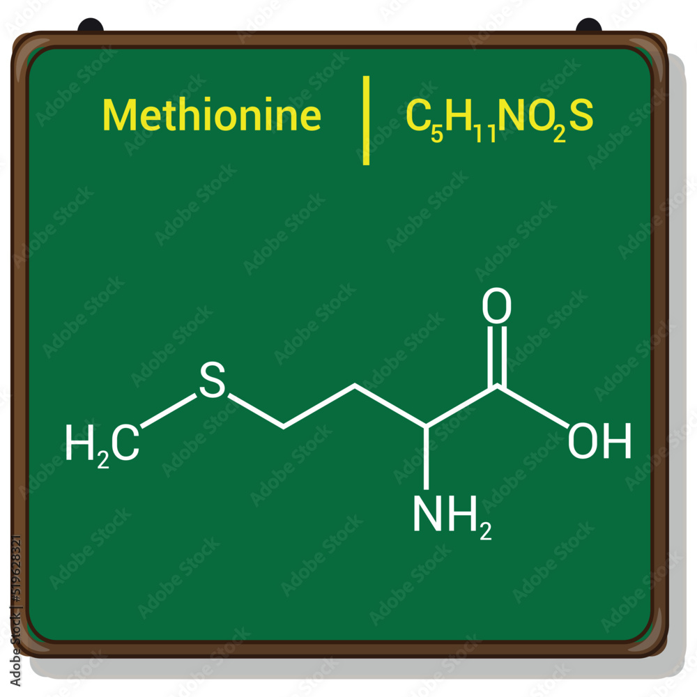 chemical structure of Methionine (C5H11NO2S) Stock Vector | Adobe Stock