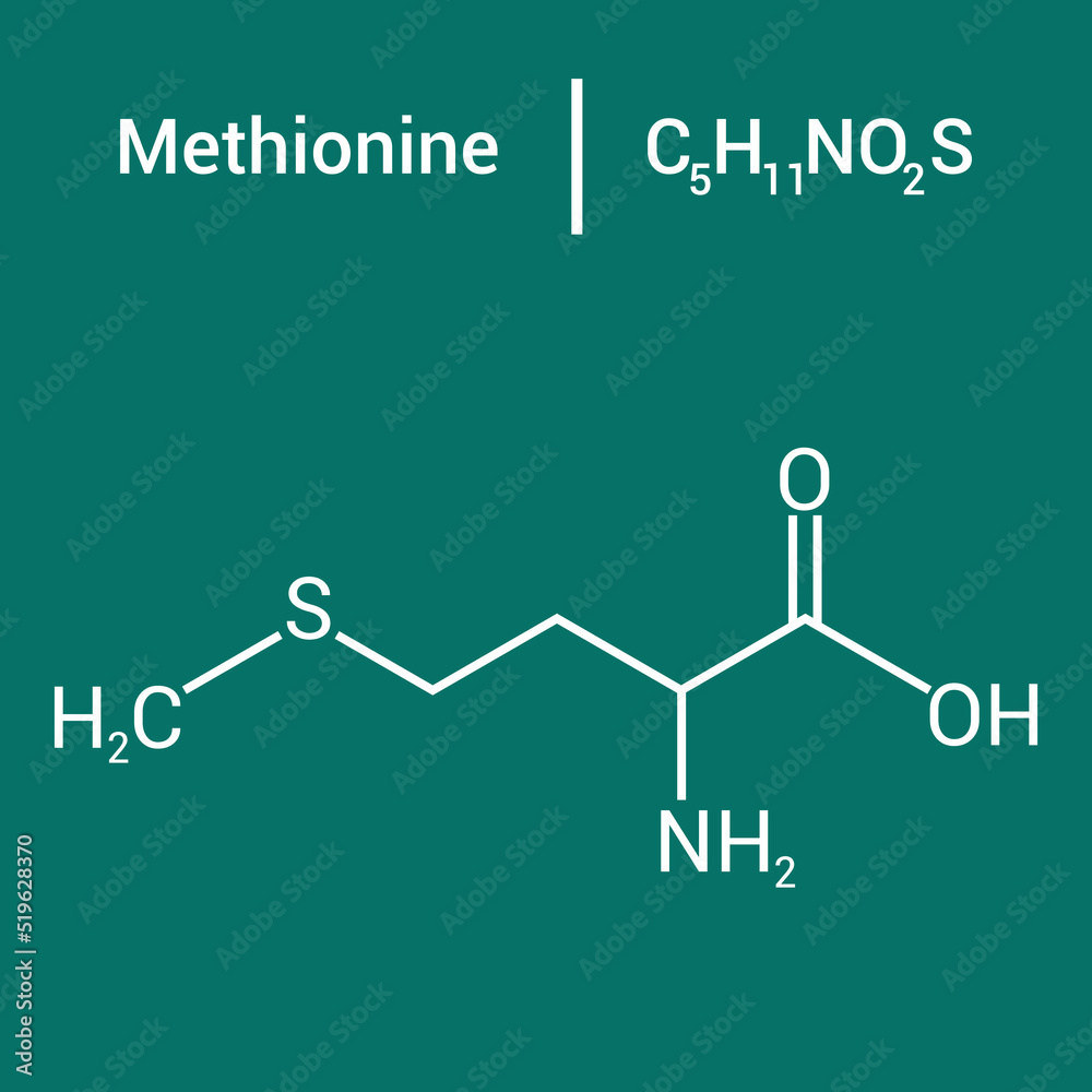 chemical structure of Methionine (C5H11NO2S) Stock Vector | Adobe Stock