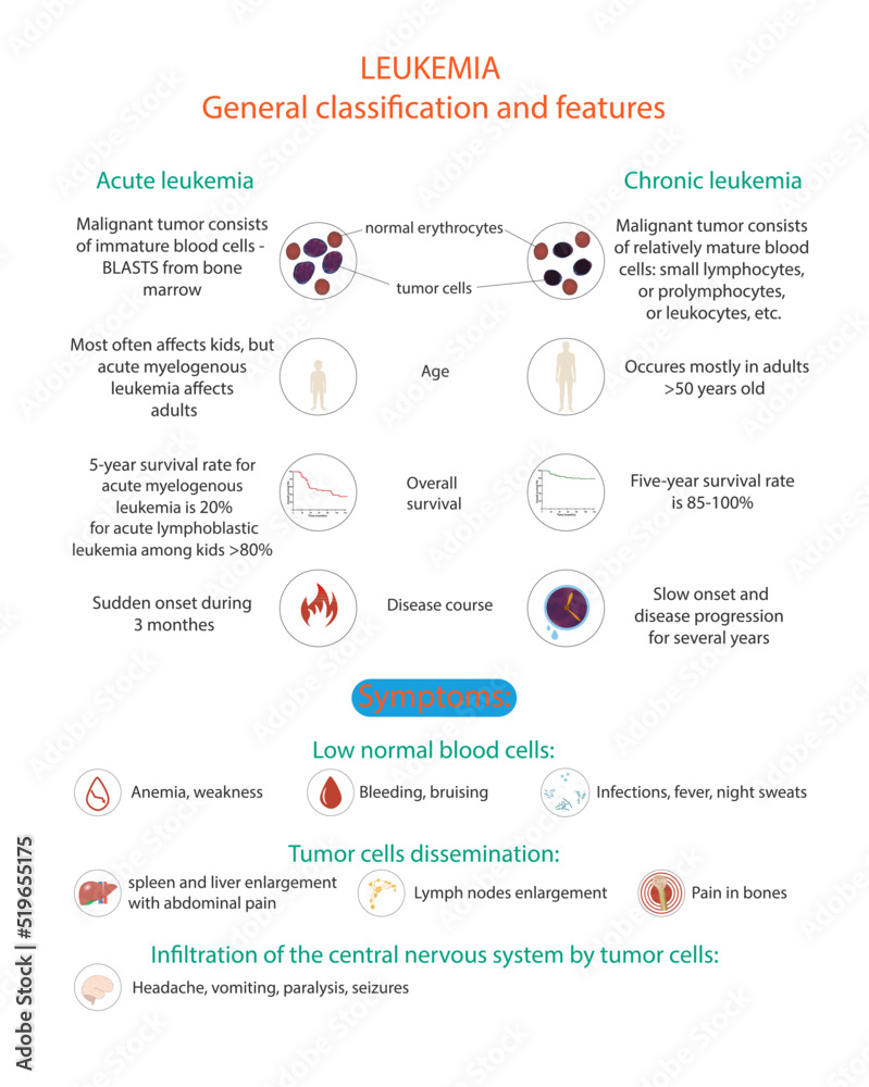 Vector illustration of leukemia disease classification and symptoms ...