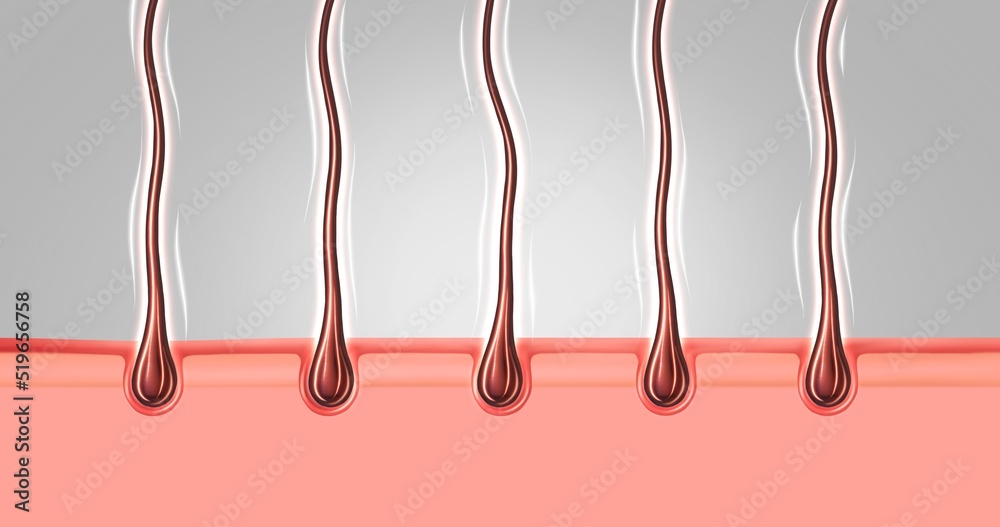 3d illustration of healthy hair in the scalp.Strengthening of the hair ...