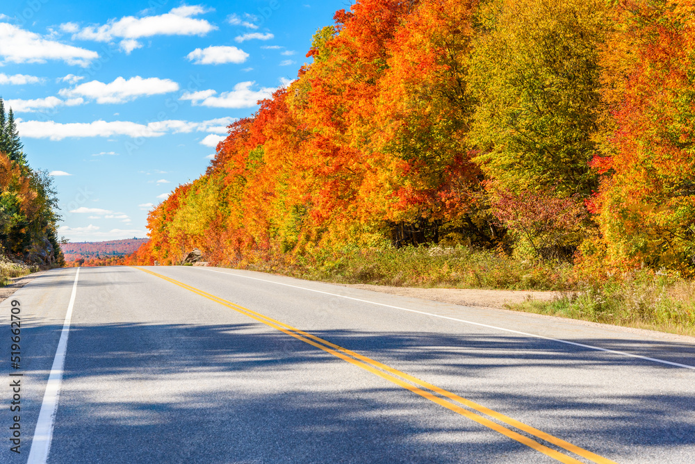 Stunning autumn colours along a straight stretch of a highway on a ...