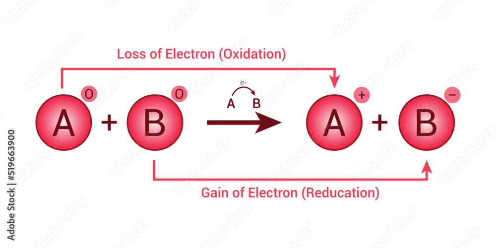 Reduction Half Reaction