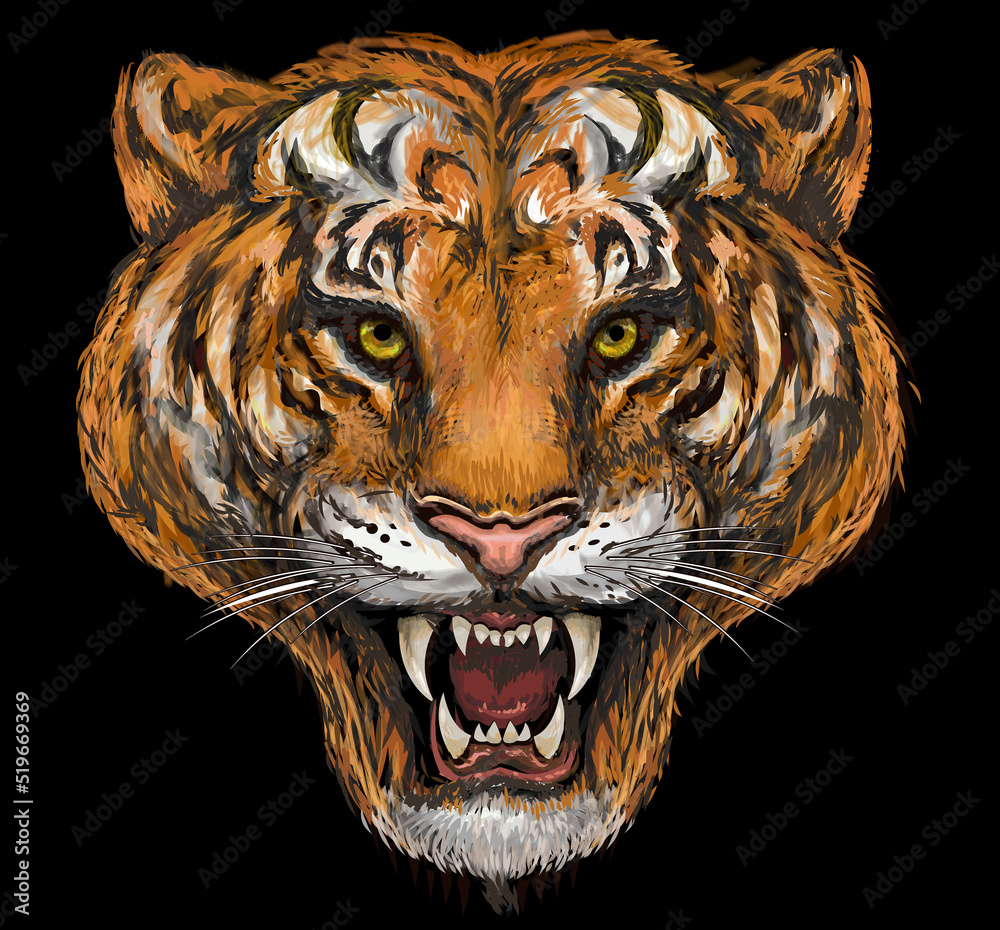 Angry tiger face. Color tattoo Stock Illustration | Adobe Stock