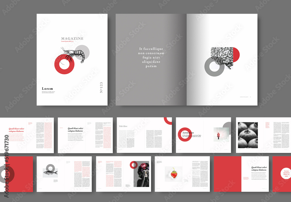 Grey and Red Minimal Catalog Stock Template | Adobe Stock