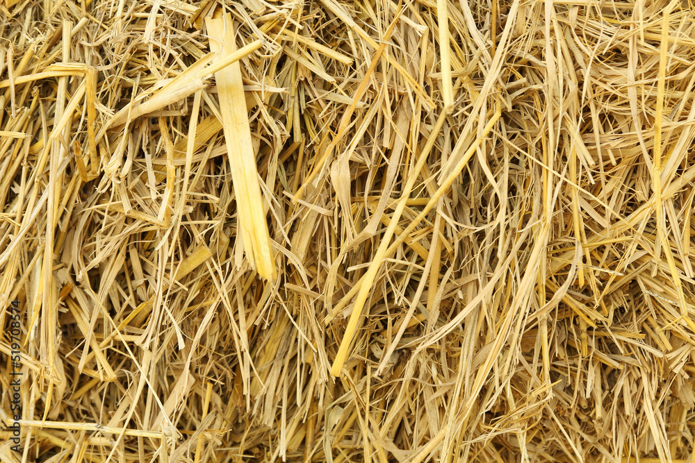 Dry rice straw texture for background and design, hay bale pattern ...