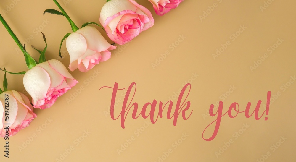 THANK YOU text greeting card holiday background Delicate pink roses on beige background. Minimal ...