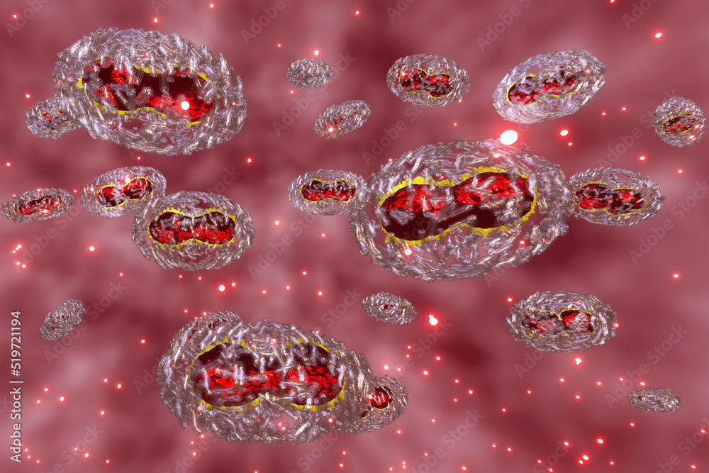 Human-to-Human Transmission of Monkeypox Virus . Monkeypox virus is ...