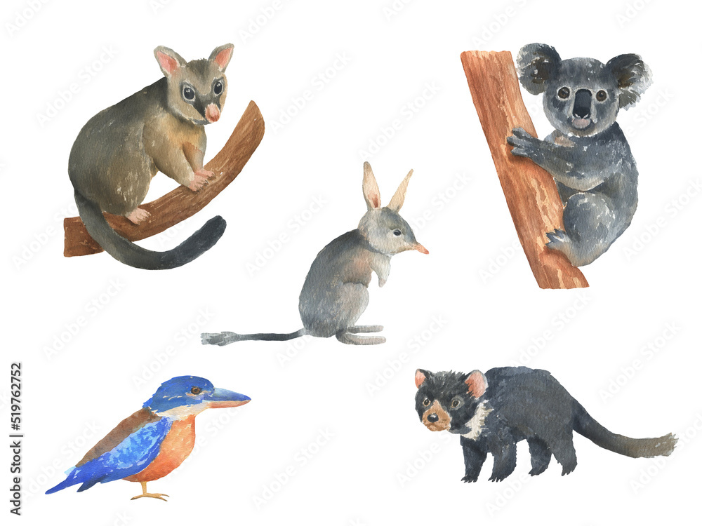 Set of Australian animals watercolor illustration isolated on white ...