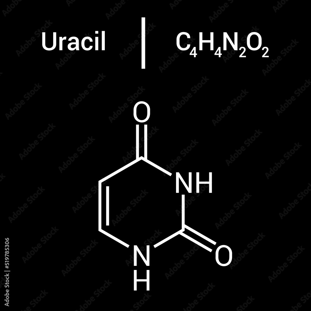 chemical structure of uracil (C4H4N2O2) Stock Vector | Adobe Stock