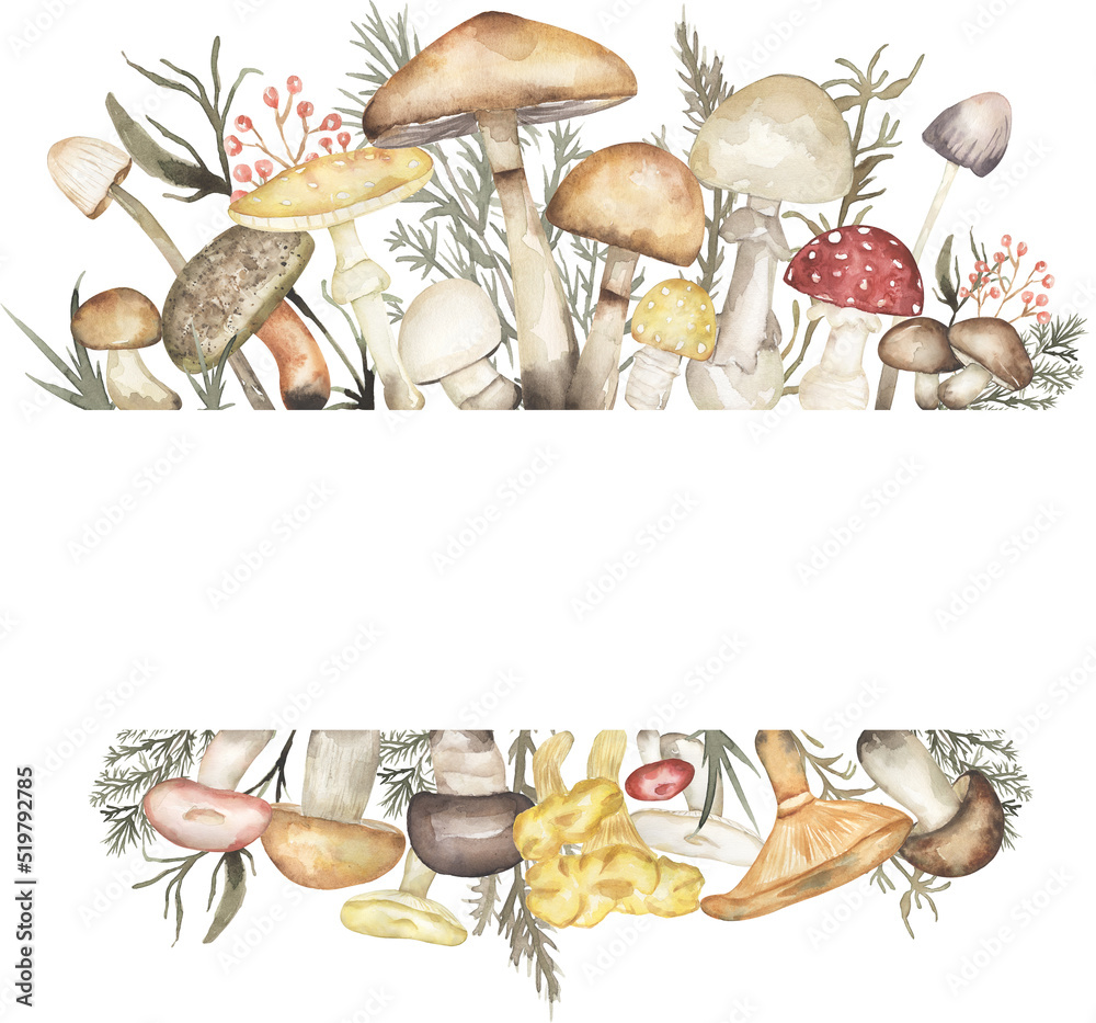 Mushrooms frame, Watercolor hand drawn fungi border illustration ...