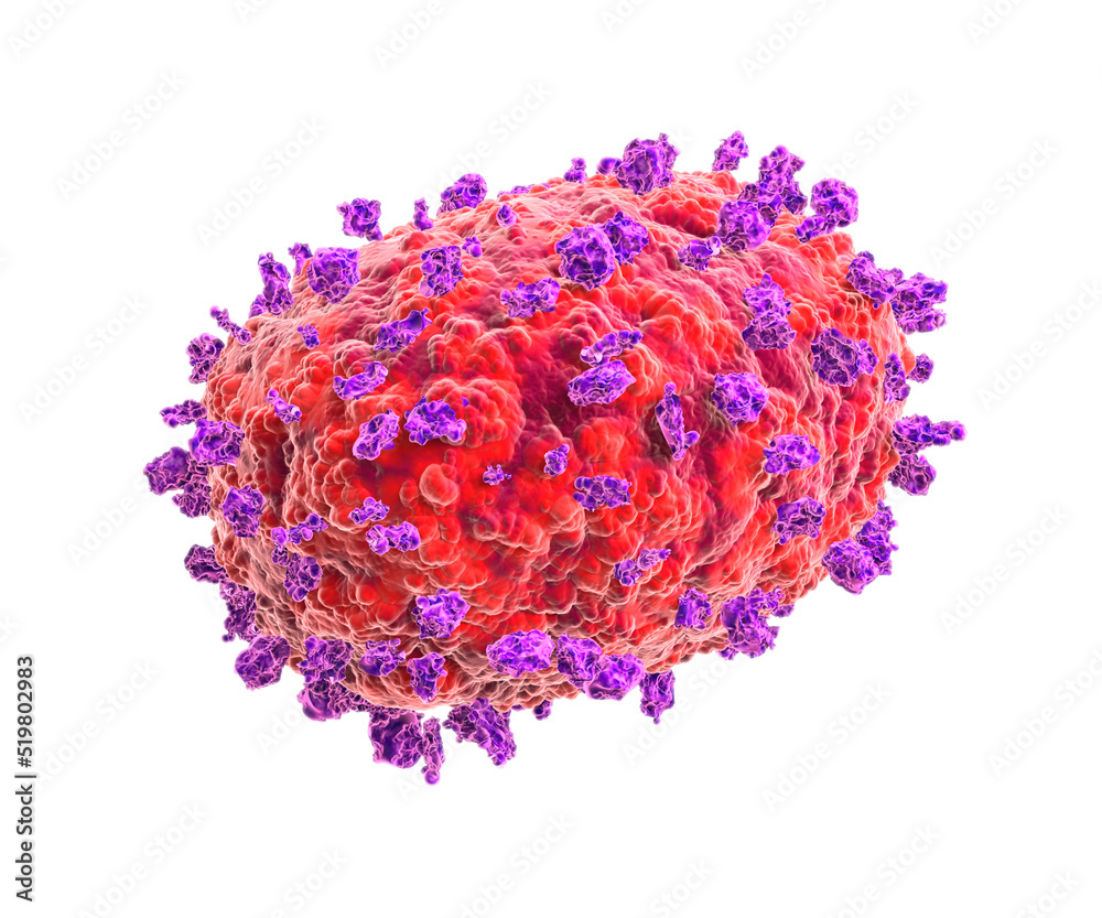 Detailed image of the cell of the causative agent of monkeypox, 3d ...