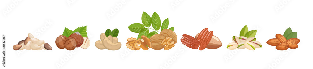 Nuts set of walnuts, almonds, hazelnut and other, healthy snack. Banner ...