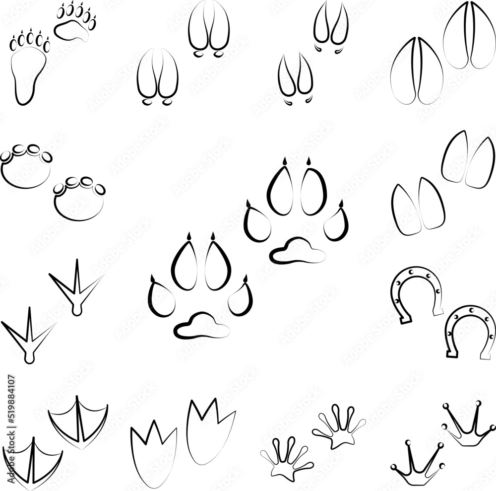 Wolf tracks icon in a collection with other items Stock Vector | Adobe ...
