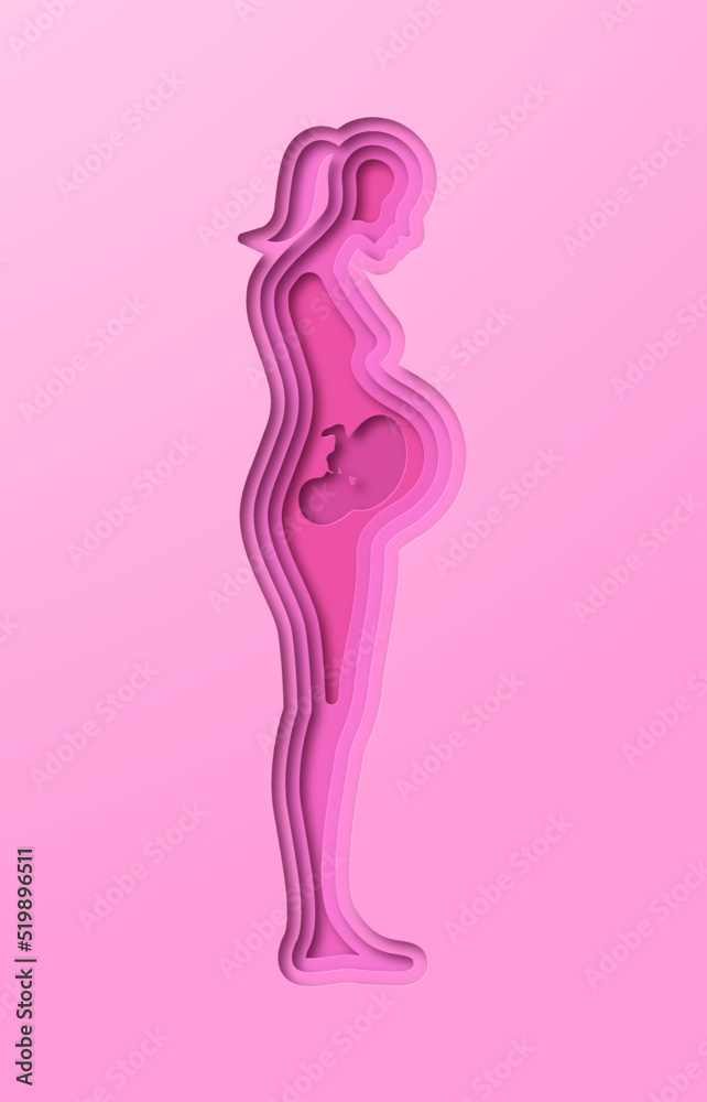 Realistic paper cut pregnant woman with baby fetus growing inside. New ...