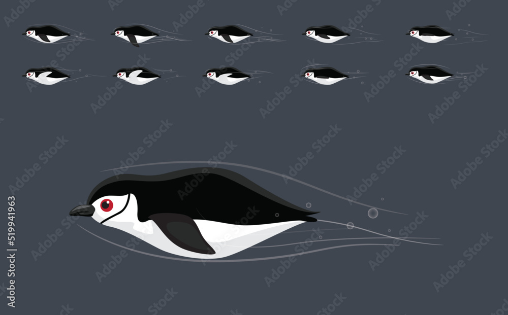Penguin Chinstrap Swimming Animation Frame Cute Cartoon Vector ...