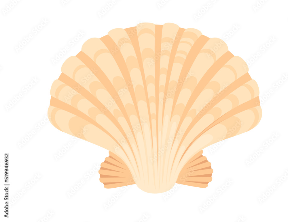 Colorful tropical underwater shell cartoon design vector illustration ...