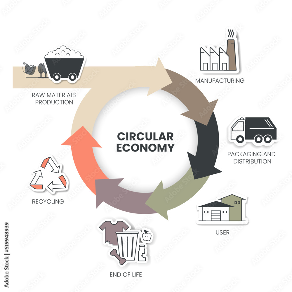 Circular Economy infographic diagram has 6 steps to analyse such as ...