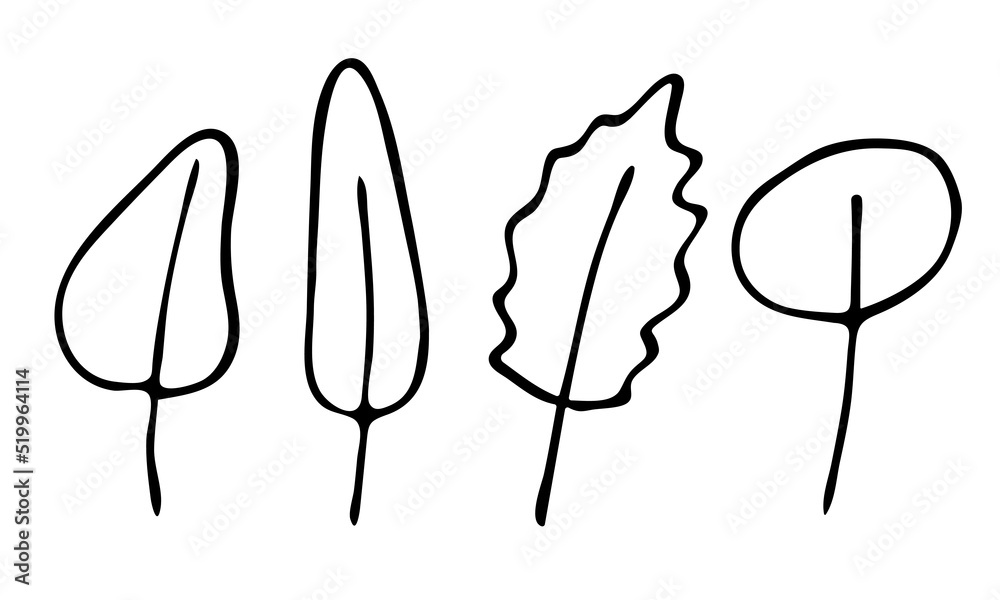 vector leaves set in doodle style.hand-drawn black and white outline ...