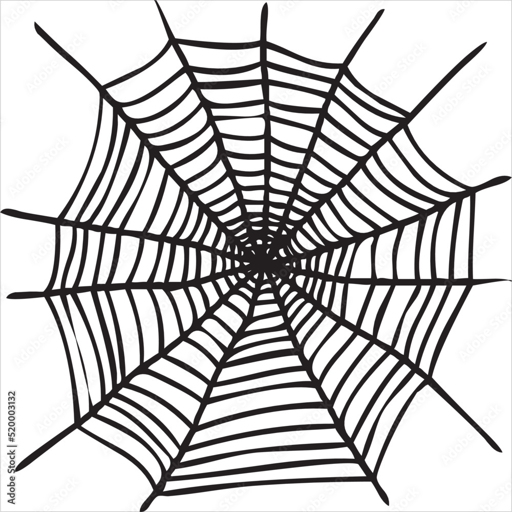 Vector, Image of spider web, black and white color, transparent ...