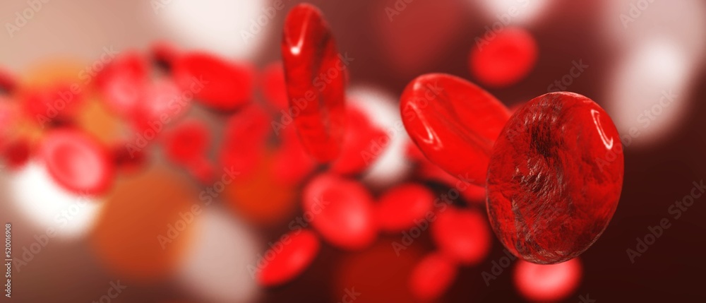 Red blood cells (RBCs), red cells, red blood corpuscles , haematids ...