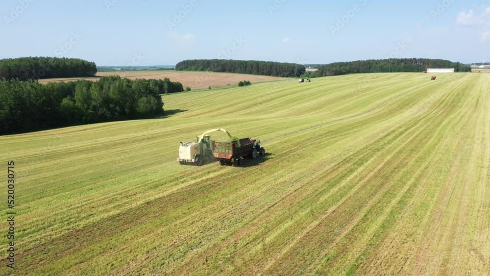 Combines Collect Mown Grass For Animal Feed In A Rural Field Stock ビデオ ...