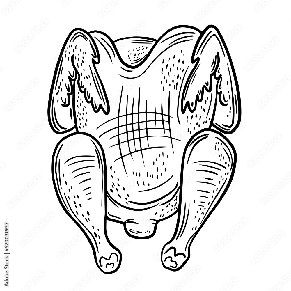 Vector drawing, sketch of poultry products. Chicken parts, leg, poultry ...