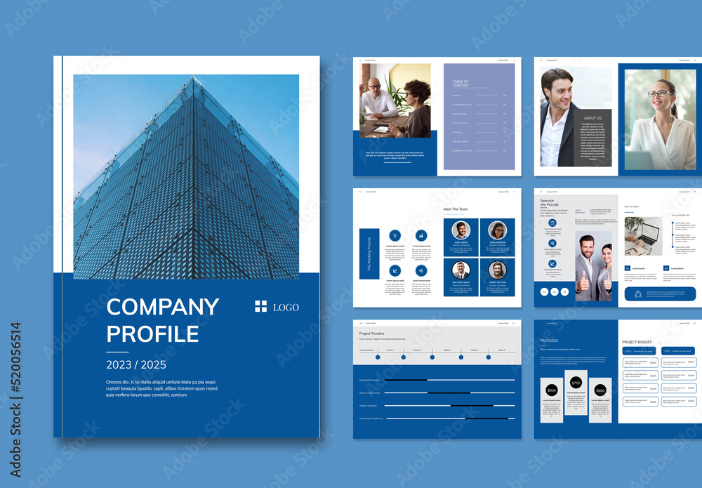 Company Profile Layout Stock Template | Adobe Stock