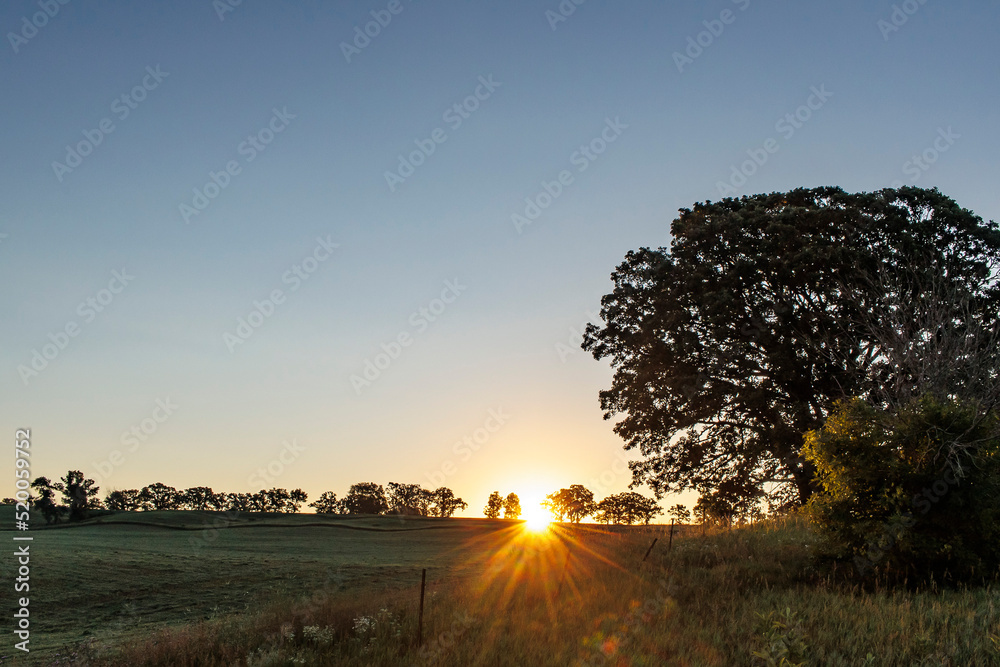 The sun rising over a hill with a row of trees on a farm and the ...