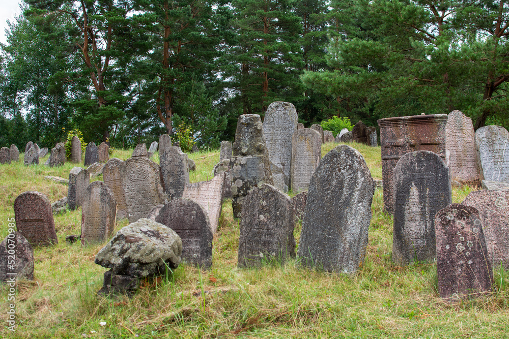 Cemetery of the residents of the village of Druya of Jewish origin, and ...