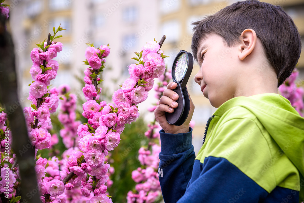 Little boy looking at flower through magnifier. Charming schoolboy ...