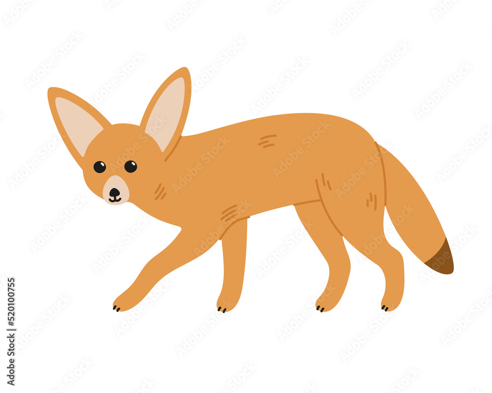 Hand-drawn fennec fox isolated on white background. Desert fox, desert ...