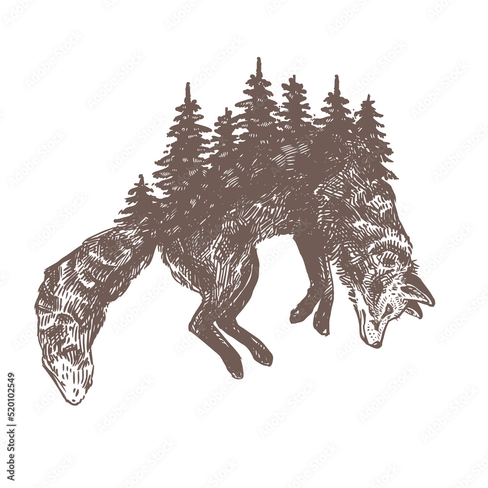 Double exposure of jumping hunting fox and fir forest. Symbol or sign ...