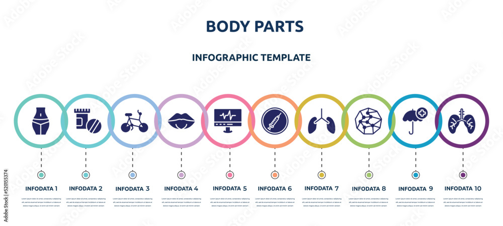 body parts concept infographic design template. included female hips ...