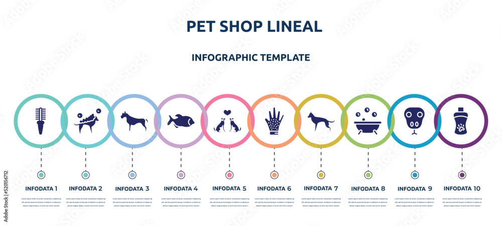 pet shop lineal concept infographic design template. included flea comb ...