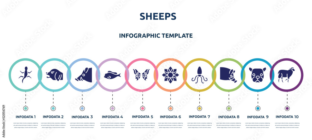 sheeps concept infographic design template. included gecko, angry dog ...