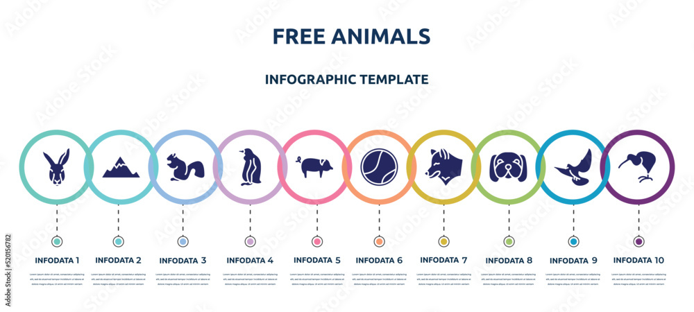 free animals concept infographic design template. included kangaroo ...