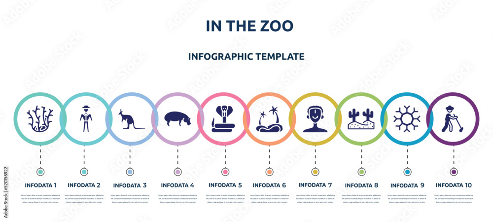 in the zoo concept infographic design template. included coral, trainer ...