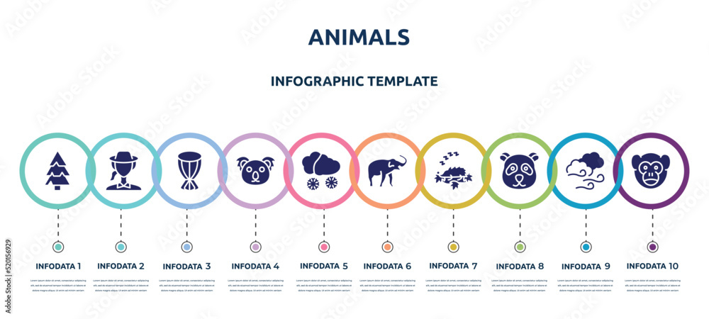 animals concept infographic design template. included pine, biologist ...