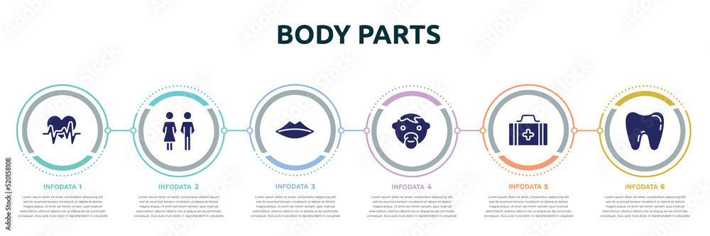 body parts concept infographic design template. included heart ...